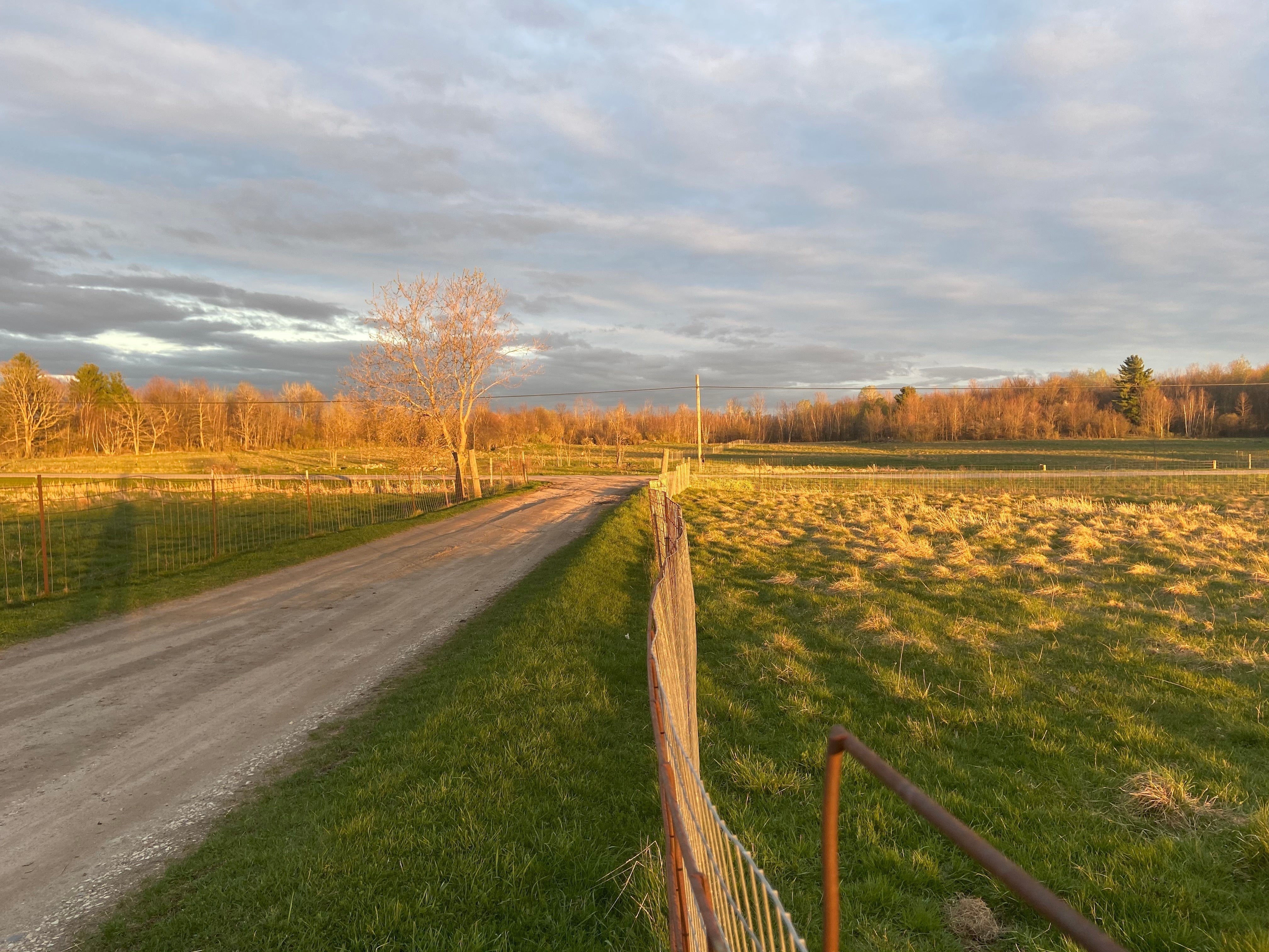 April 2025 CSA Newsletter – 8 O'Clock Ranch